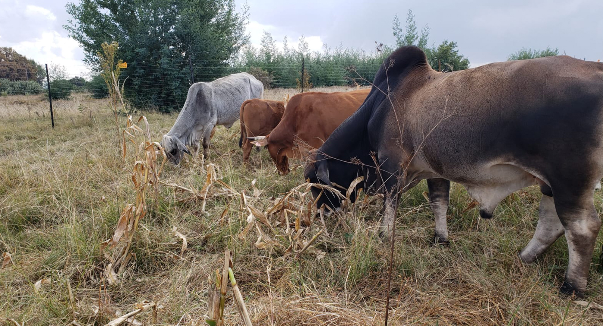 WCCC Training Institute – Education and Training provider